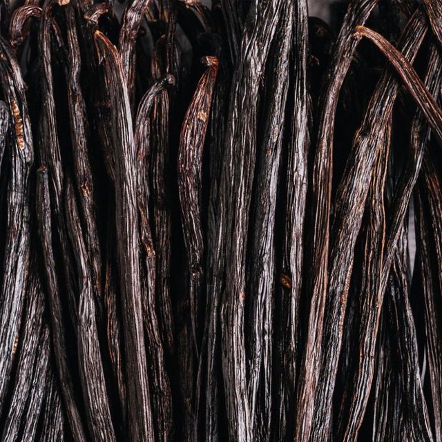 How Versatile the Vanilla Note is in Perfumery – Commodity Fragrances (US)