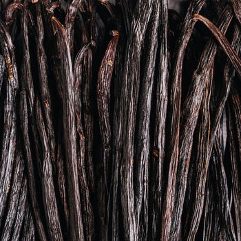 How Versatile the Vanilla Note is in Perfumery – Commodity Fragrances (US)