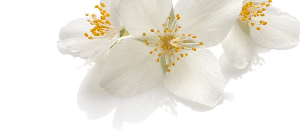 Rain – Commodity Fragrances (US)