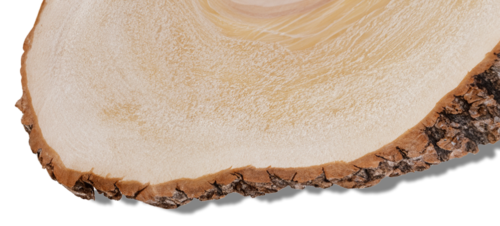 Milk – Commodity Fragrances (US)